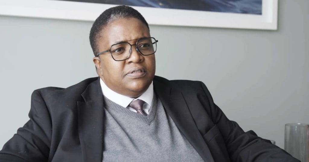 Deputy Minister Steve Letsike Honours Eudy Simelane in Powerful ...